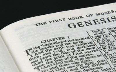 What do we know about Peleg?