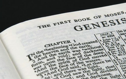 What do we know about Peleg?